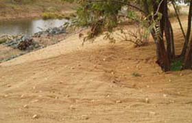 Erosion Control Products | Blankets, Mats, Wattles, and Logs