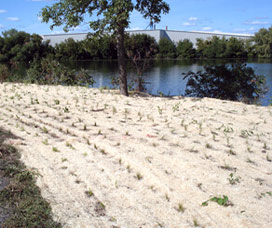 Excelsior Grass Seed Matting Promotes New Growth-US Made!
